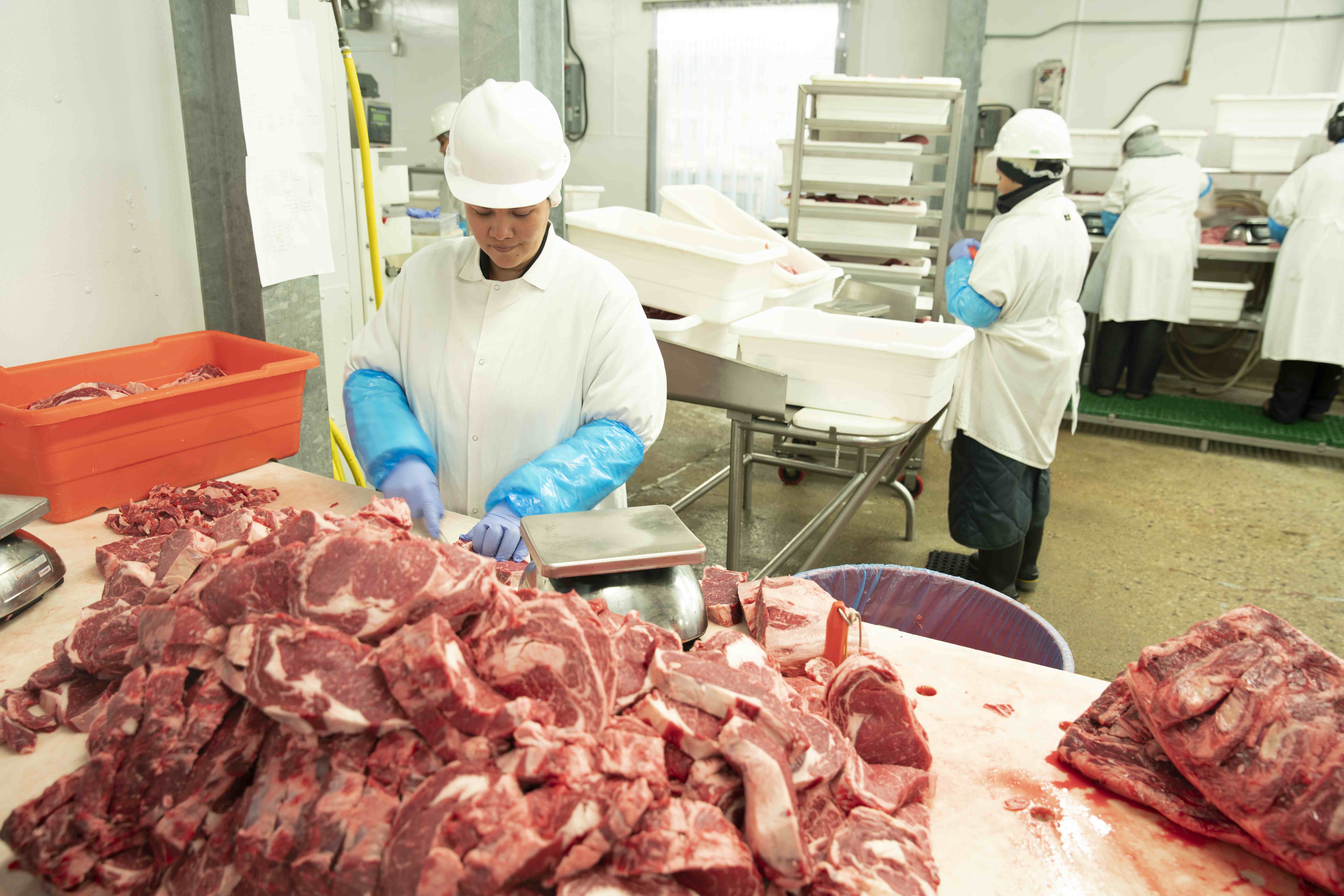 America’s Largest Meatpacking Union Condemns Trump Admin. For Failure ...