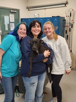 Animal Welfare Workers in Delaware Join Local 27 - The United Food ...